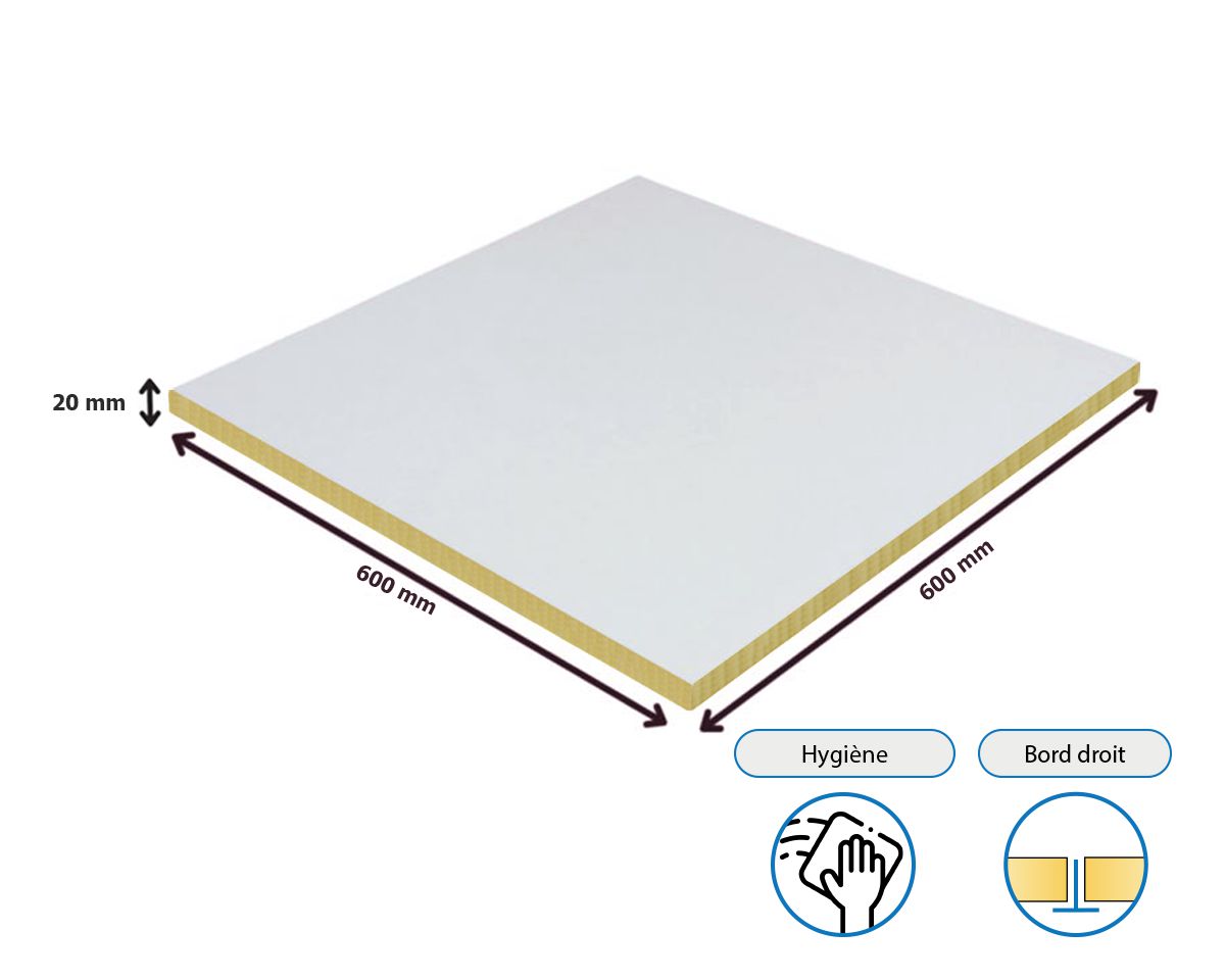 ROCKFON - Dalle plafond CleanSpace Pro A24 600x600x20mm 318999 | SFIC