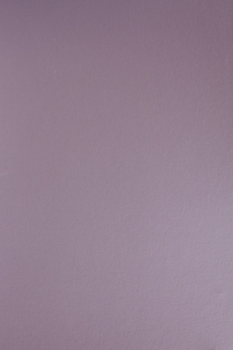 CLIPPER CORAMINE - Plaque de plâtre BF13 standard décorative ...